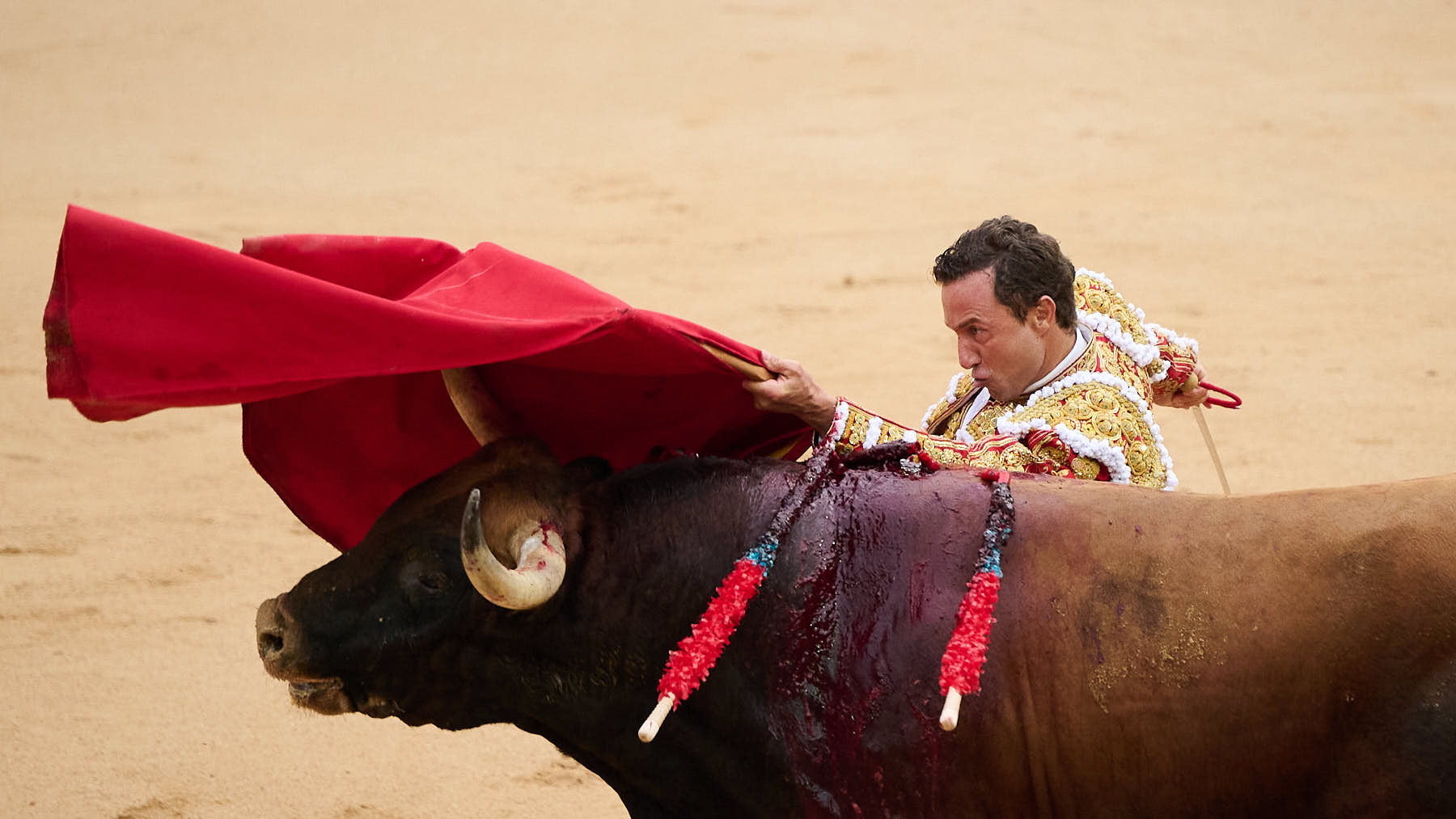 FOTOS | Los toros de la Palmosilla se marchan de Pamplona y San Fermíin ...